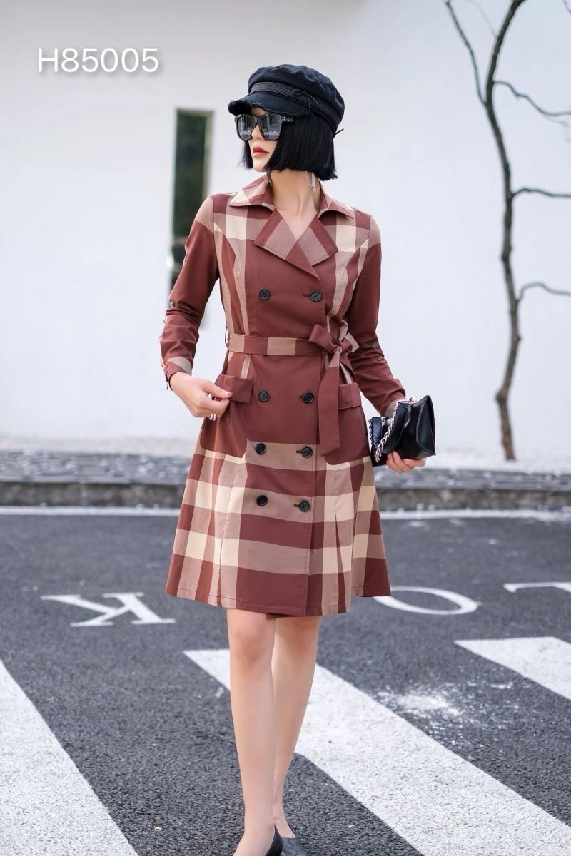 Accurate model Burberry Dress