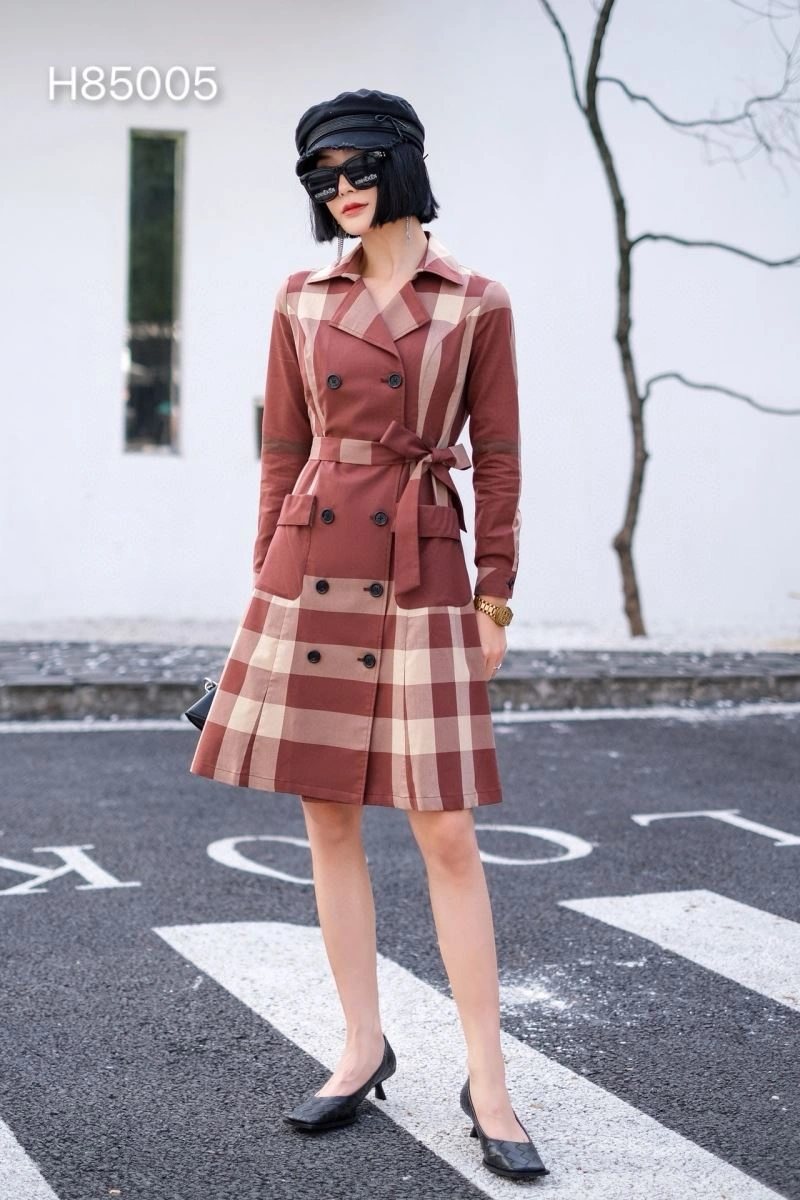 Accurate model Burberry Dress