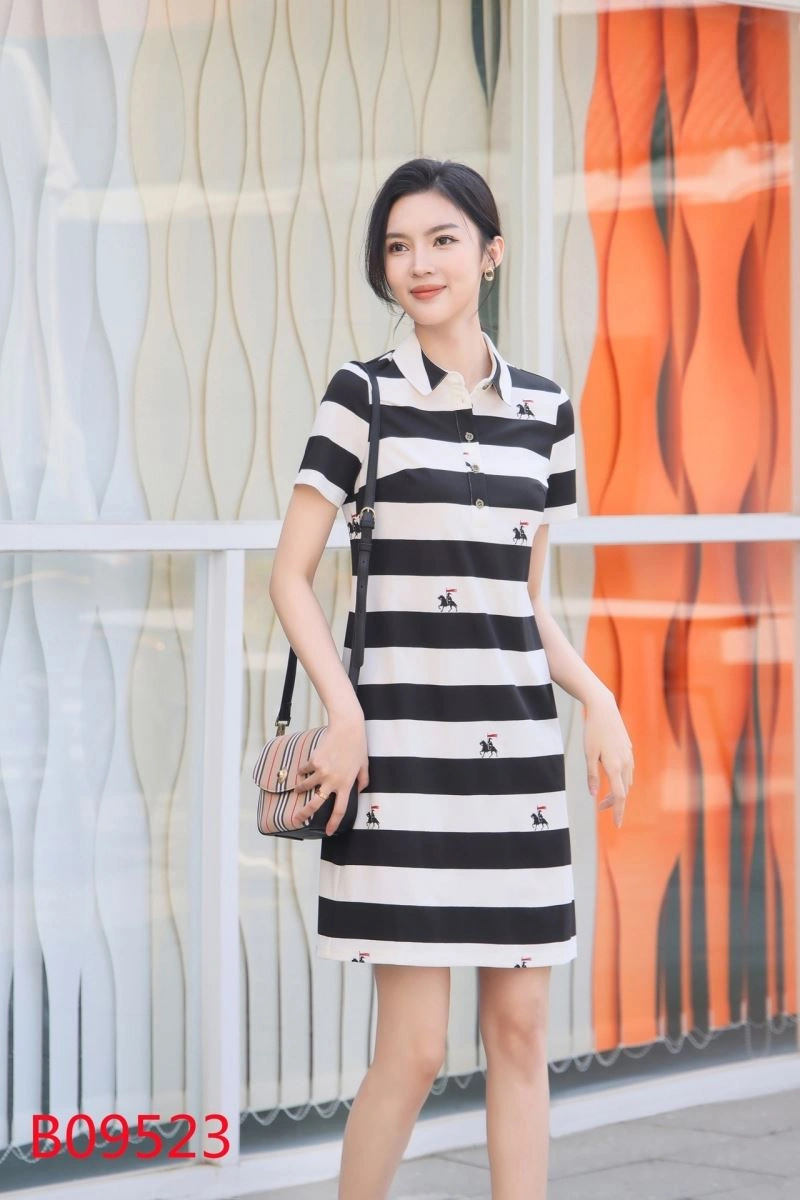 Accurate model Burberry Dress