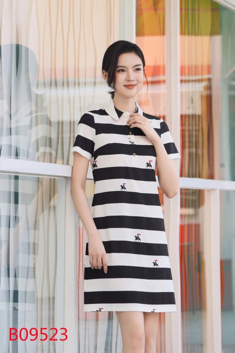 Accurate model Burberry Dress