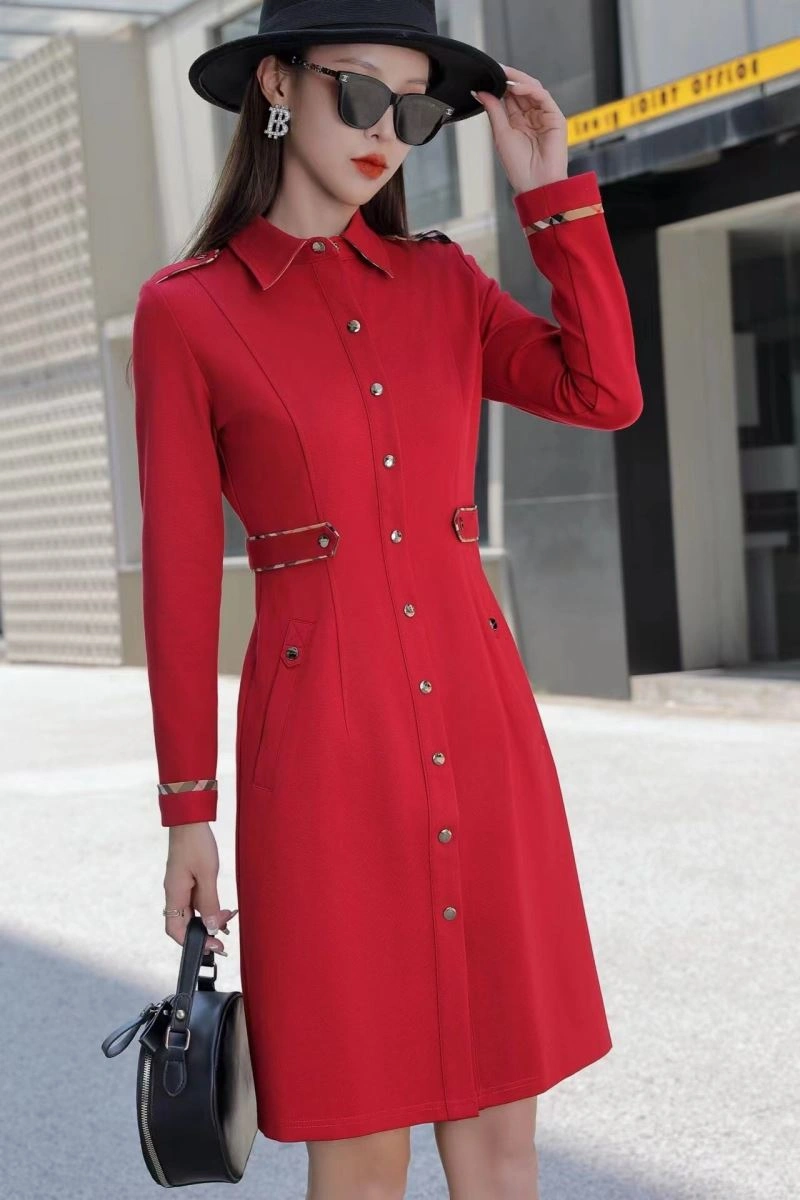 Value-priced Burberry Dress
