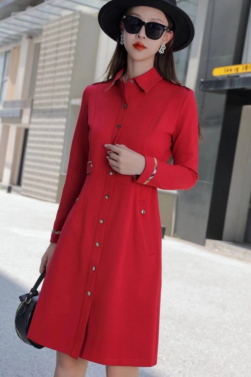 Value-priced Burberry Dress