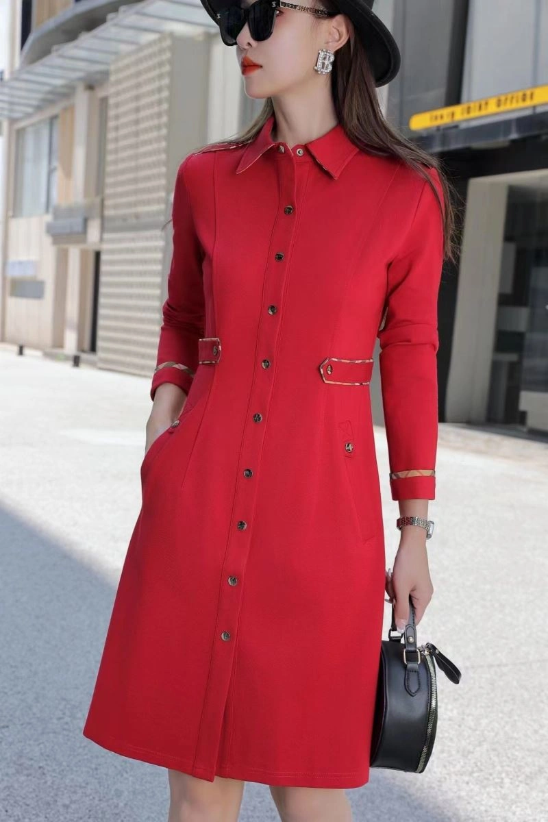 Value-priced Burberry Dress