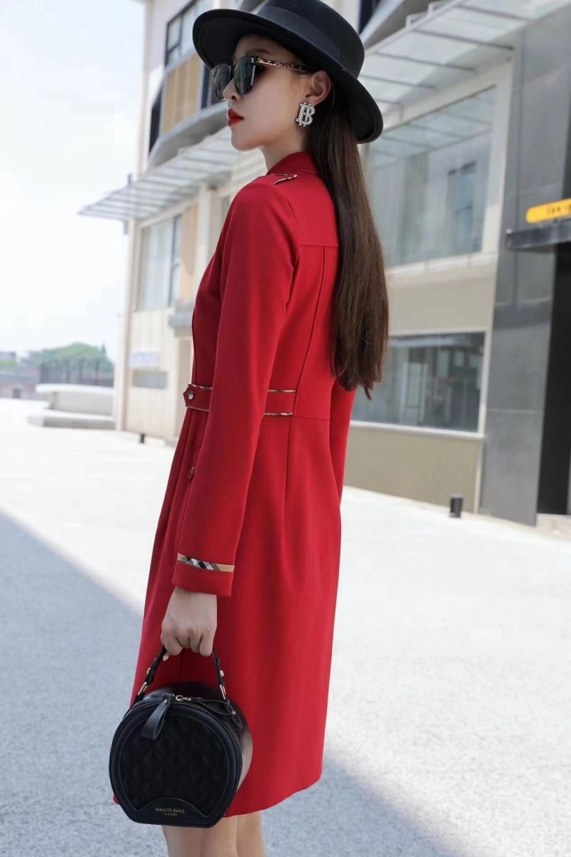 Value-priced Burberry Dress