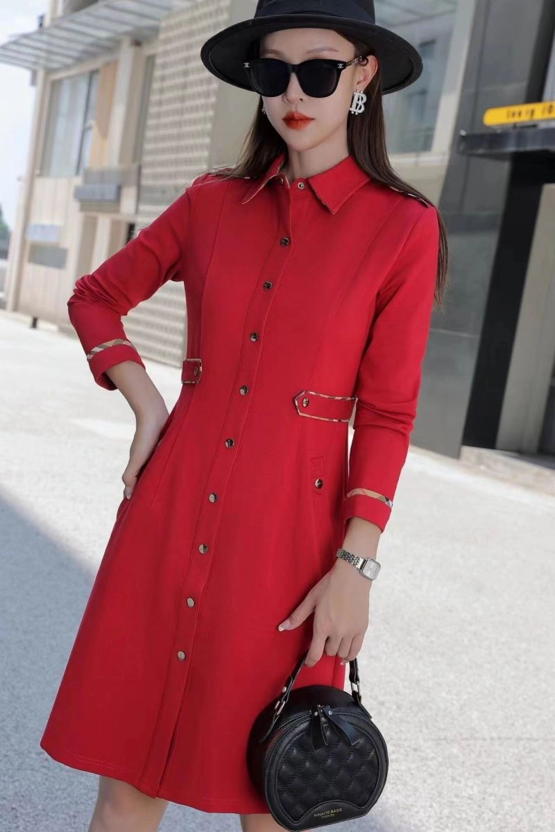 Value-priced Burberry Dress