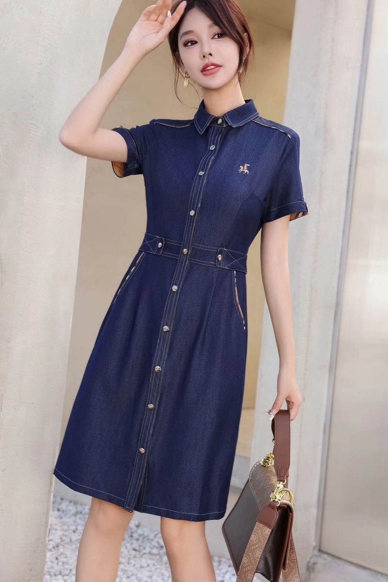 Burberry Dress