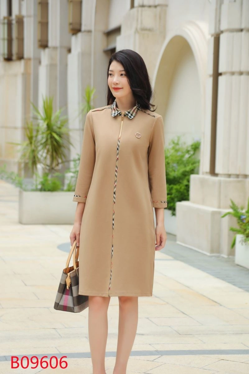 Accurate model Burberry Dress