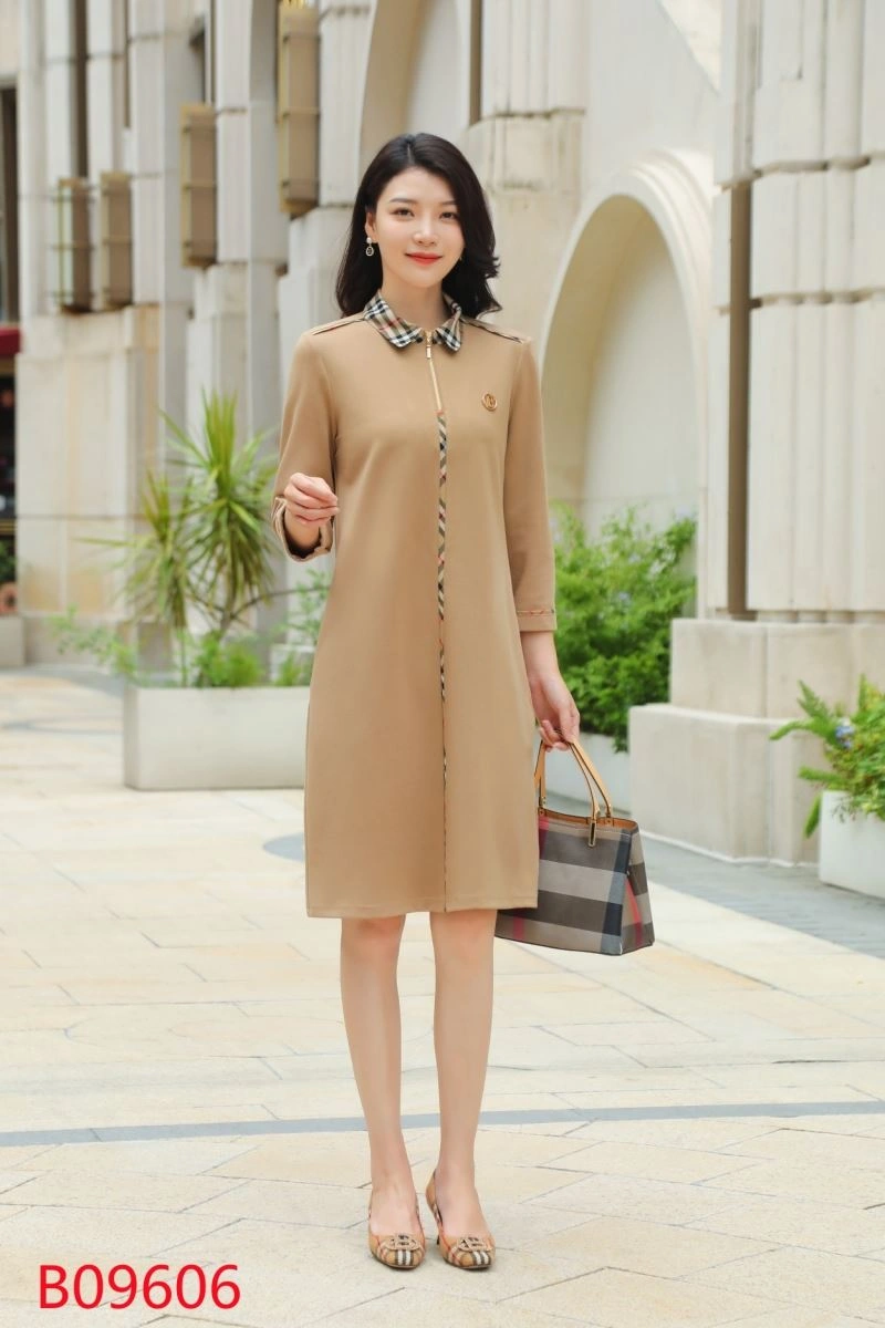 Accurate model Burberry Dress