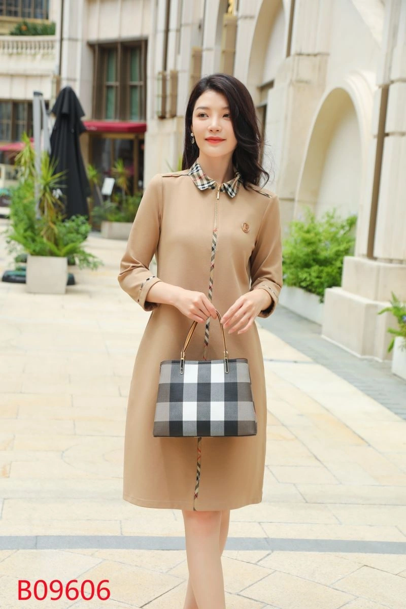 Accurate model Burberry Dress