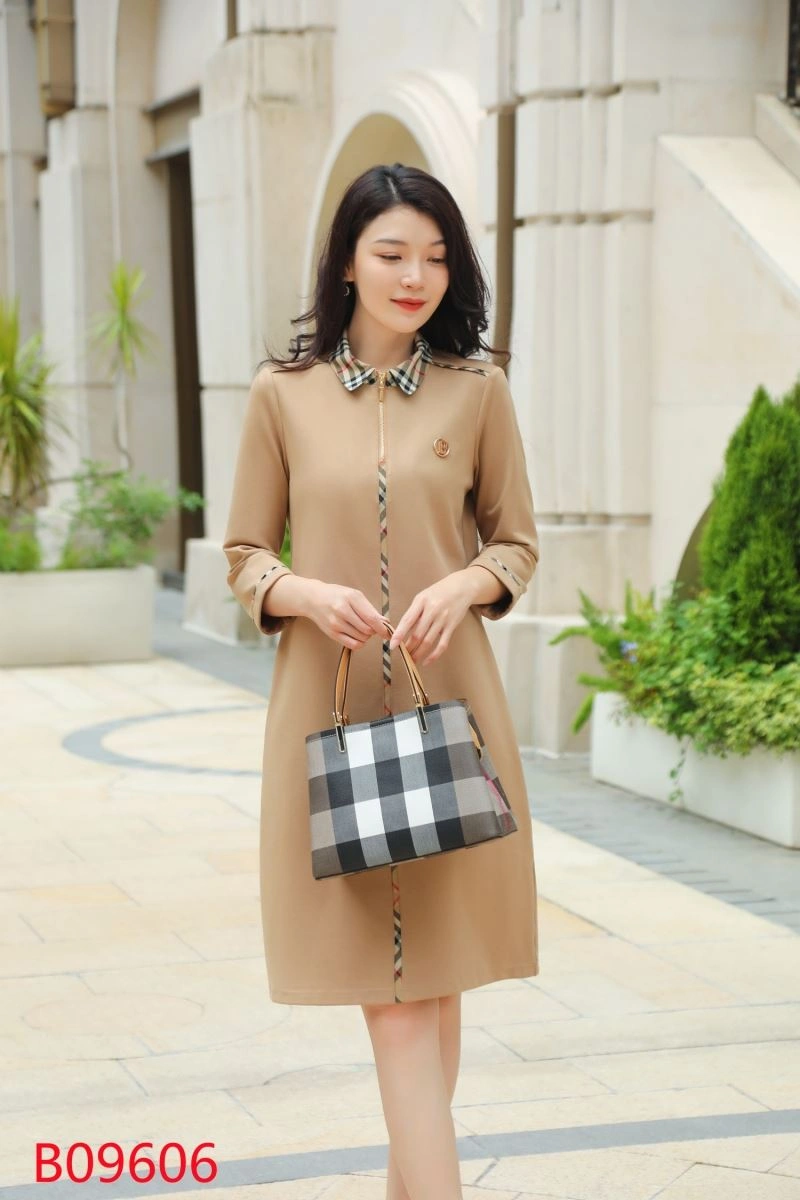 Accurate model Burberry Dress
