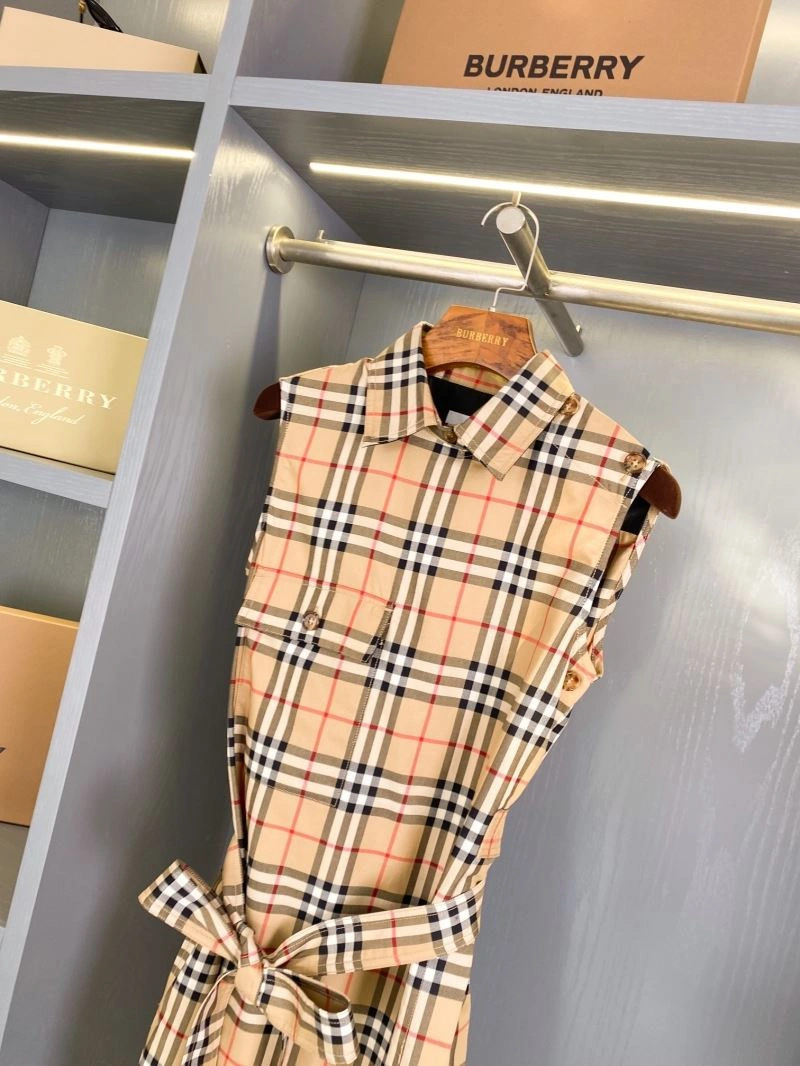 Accurate model Burberry Dress
