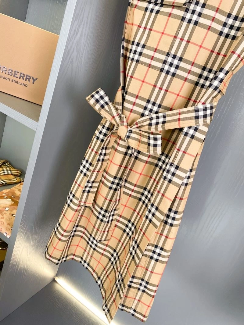 Accurate model Burberry Dress