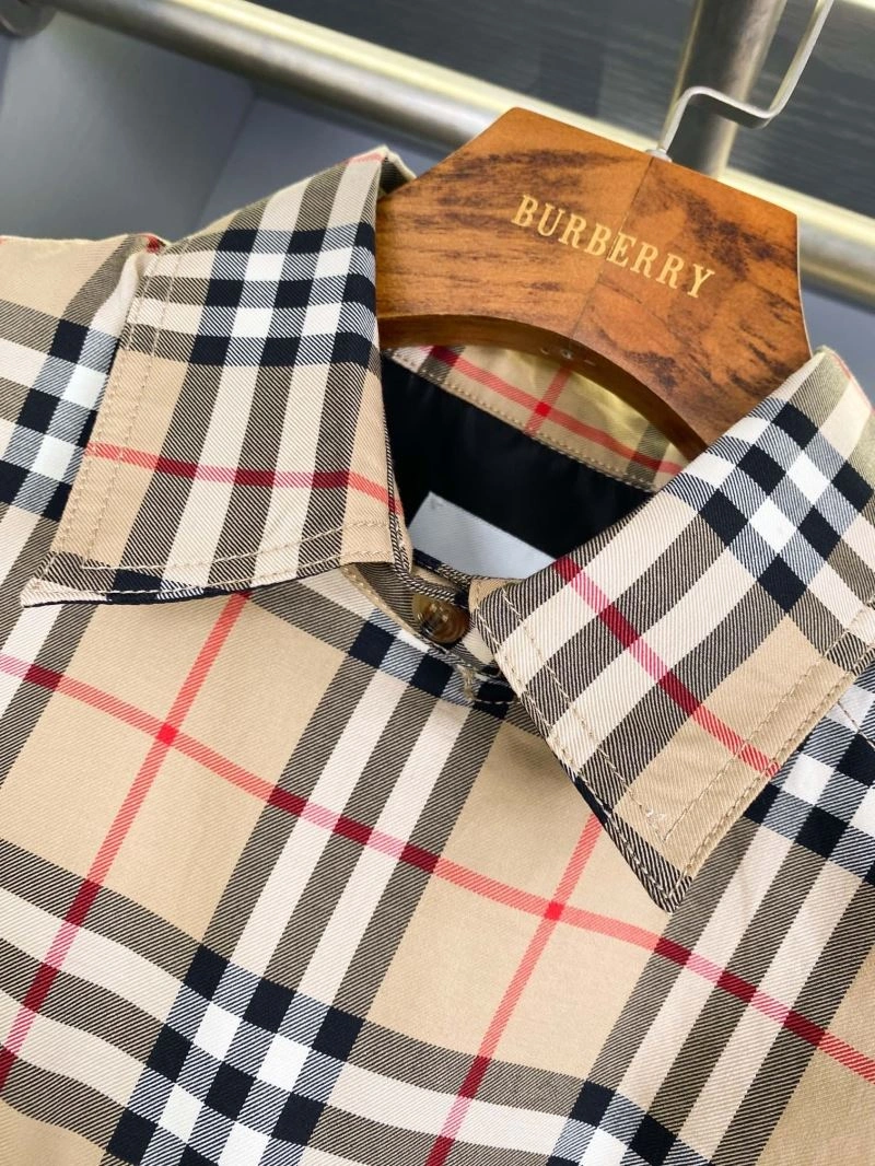 Accurate model Burberry Dress