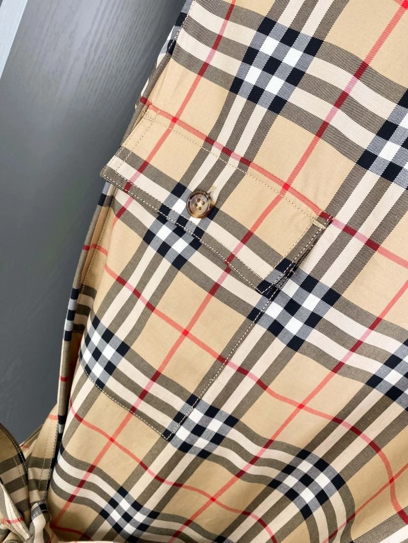 Accurate model Burberry Dress