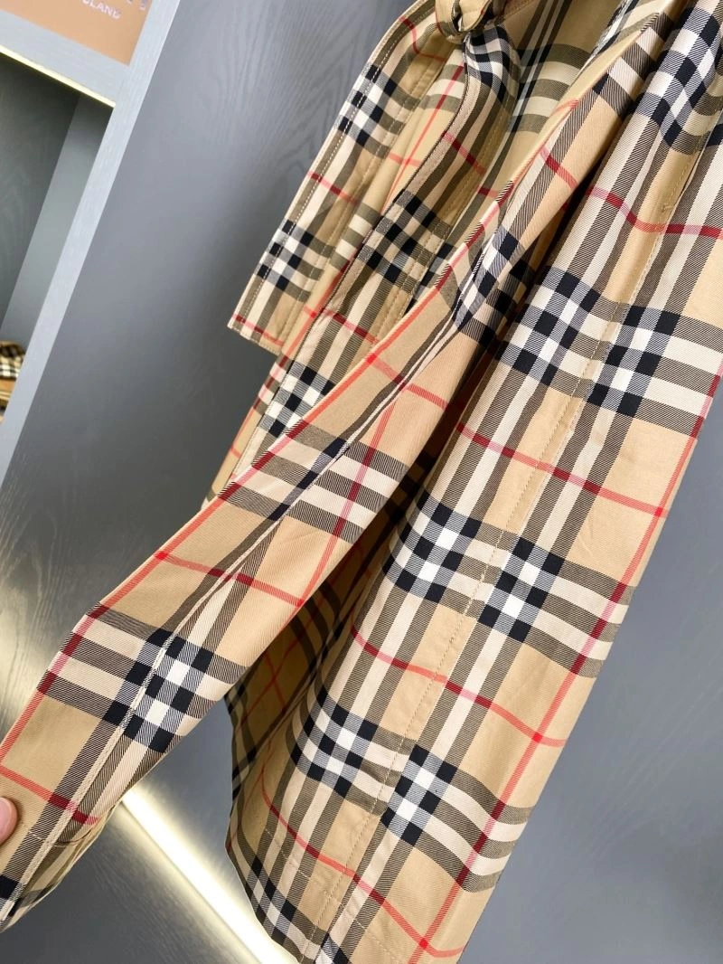 Accurate model Burberry Dress