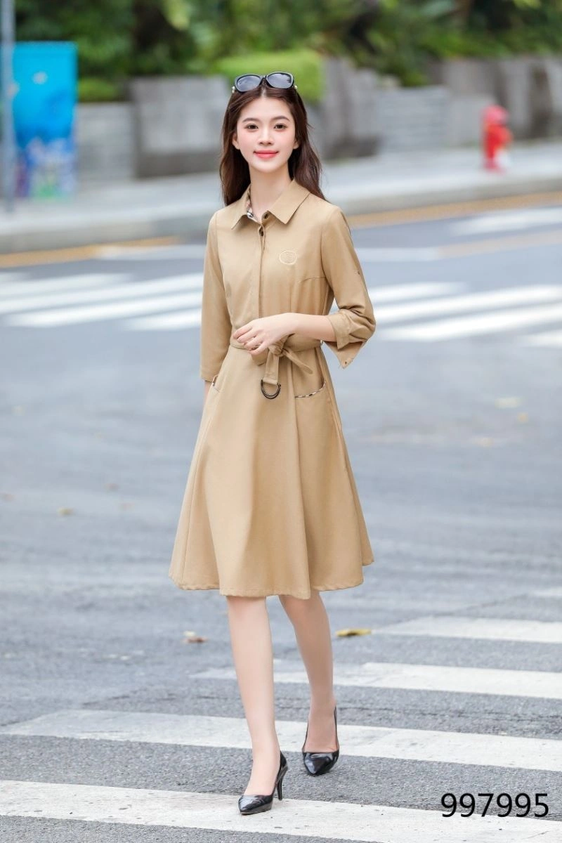 Indistinguishable Burberry Dress
