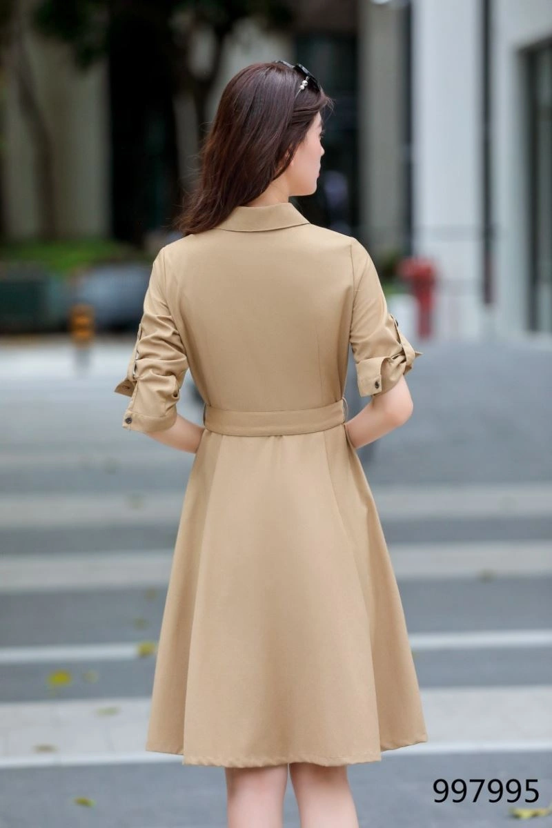 Indistinguishable Burberry Dress
