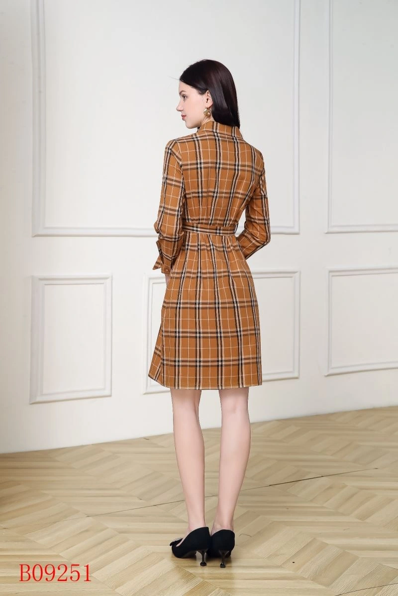 Discounted Burberry Dress