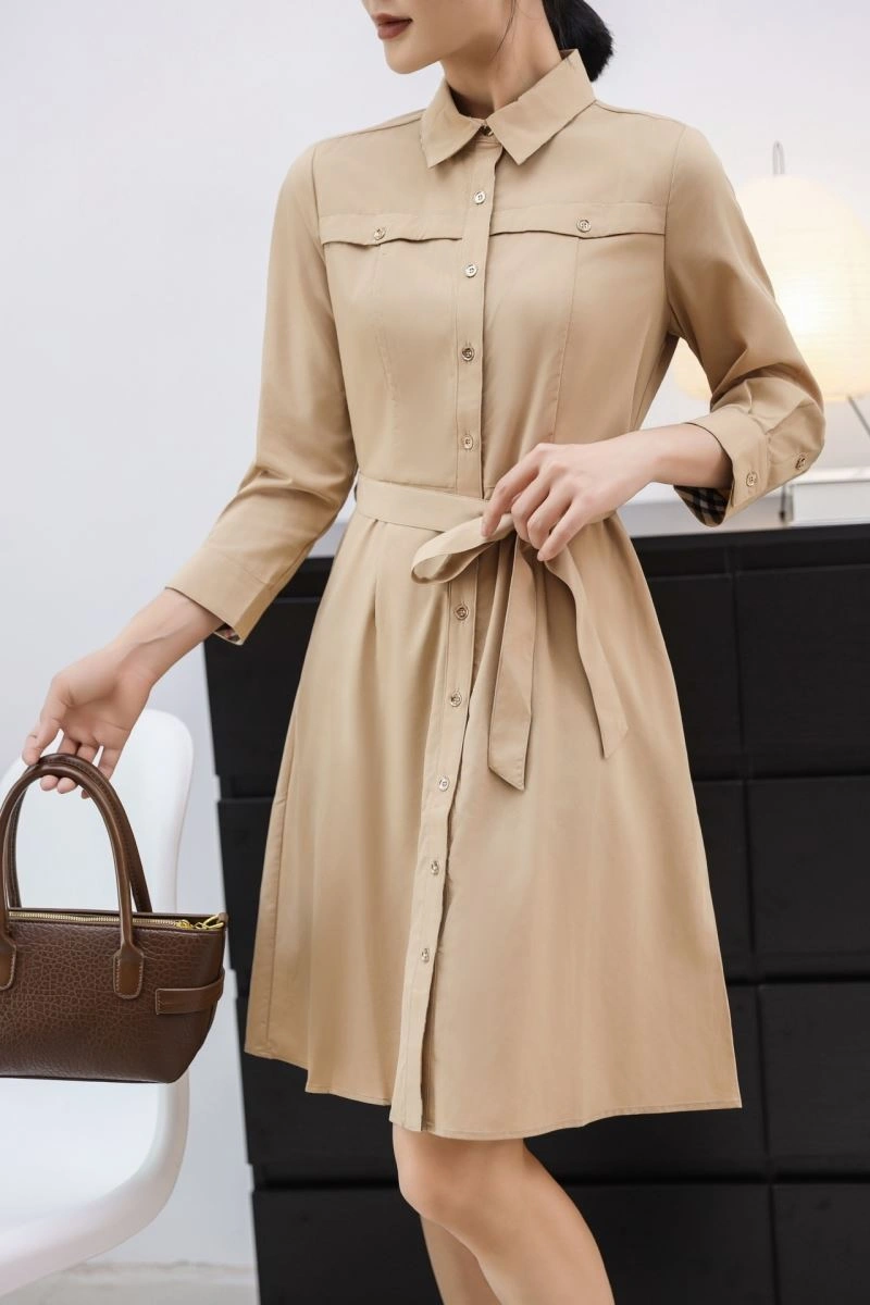 Burberry Dress