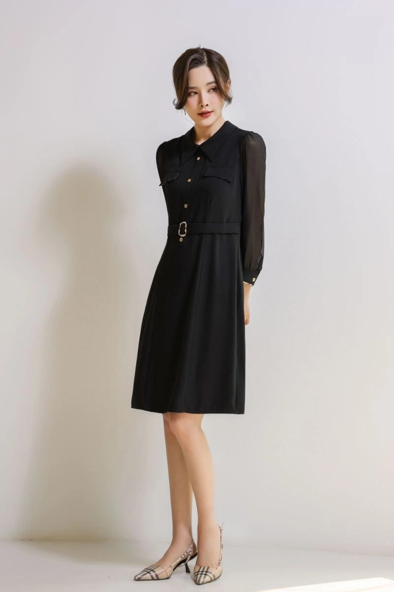 Discounted Burberry Dress