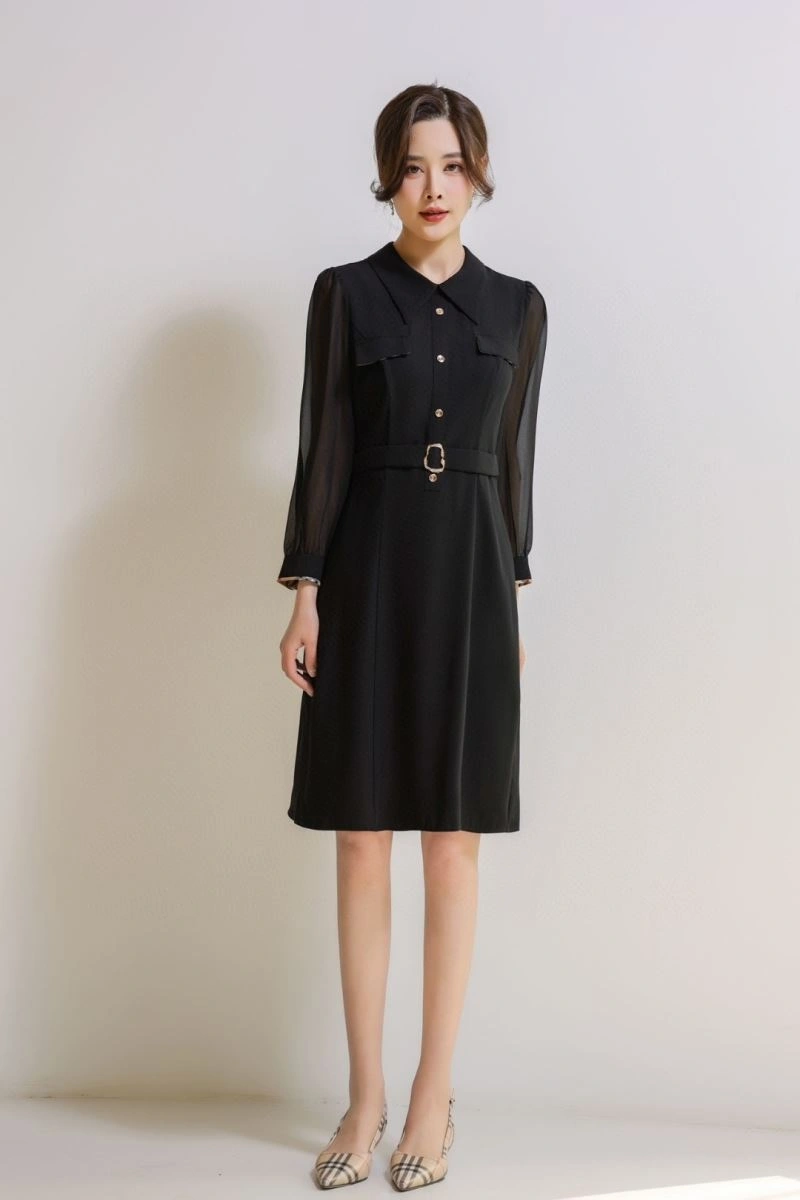 Discounted Burberry Dress