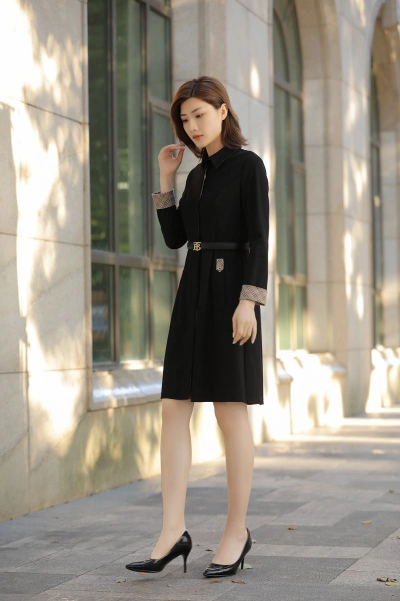 Burberry Dress