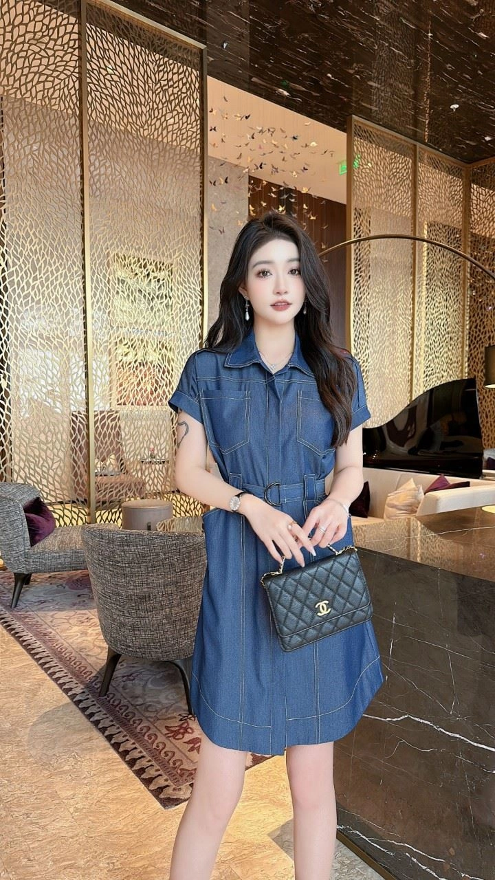 Burberry Dress