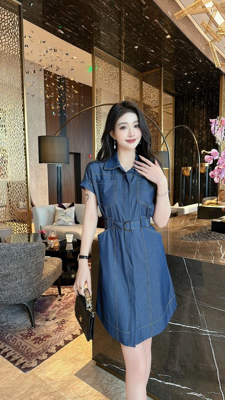 High fidelity Burberry Dress