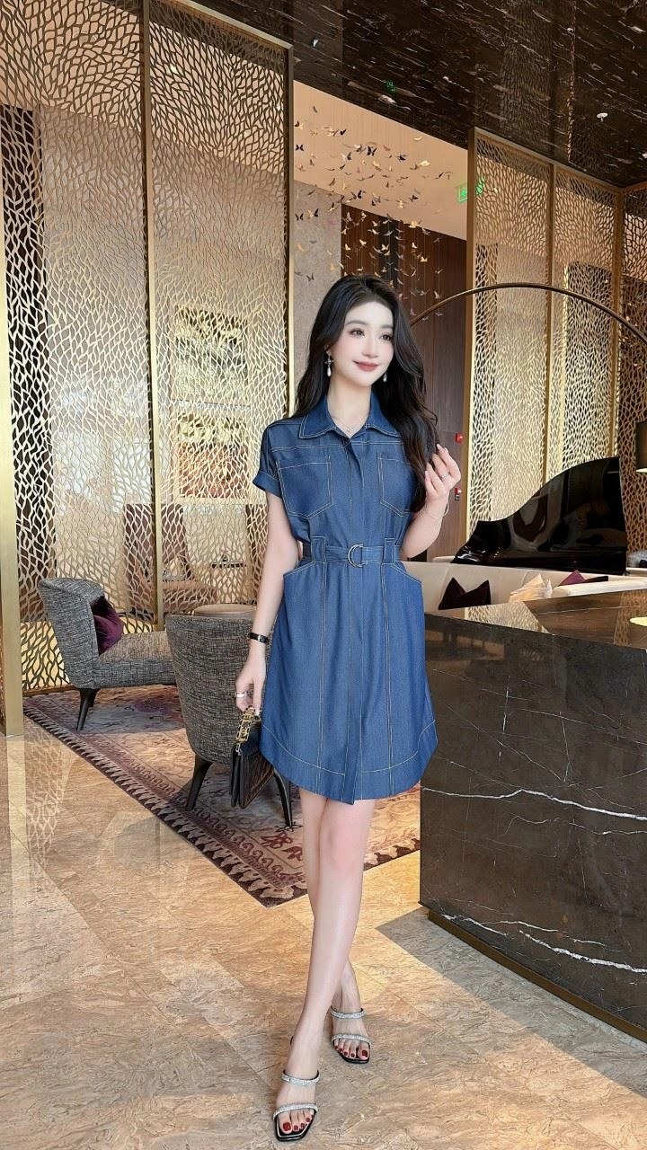 High fidelity Burberry Dress