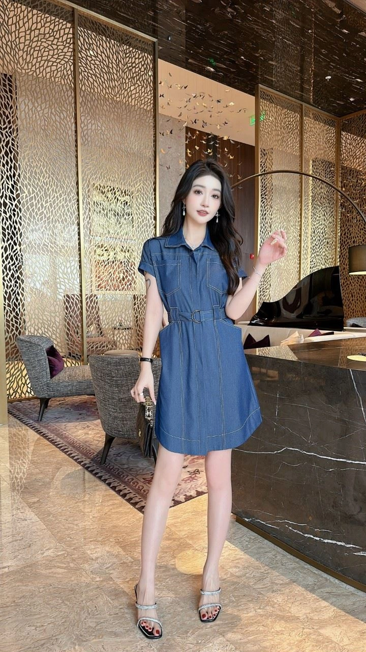 High fidelity Burberry Dress