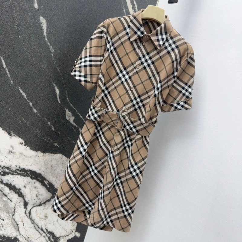Accurate model Burberry Dress