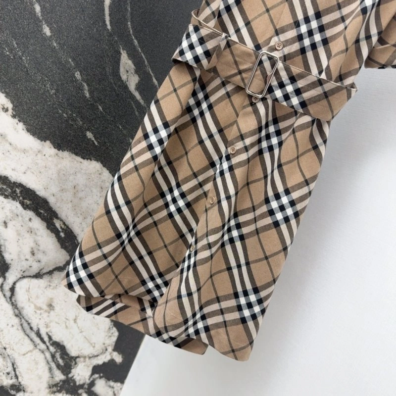 Accurate model Burberry Dress
