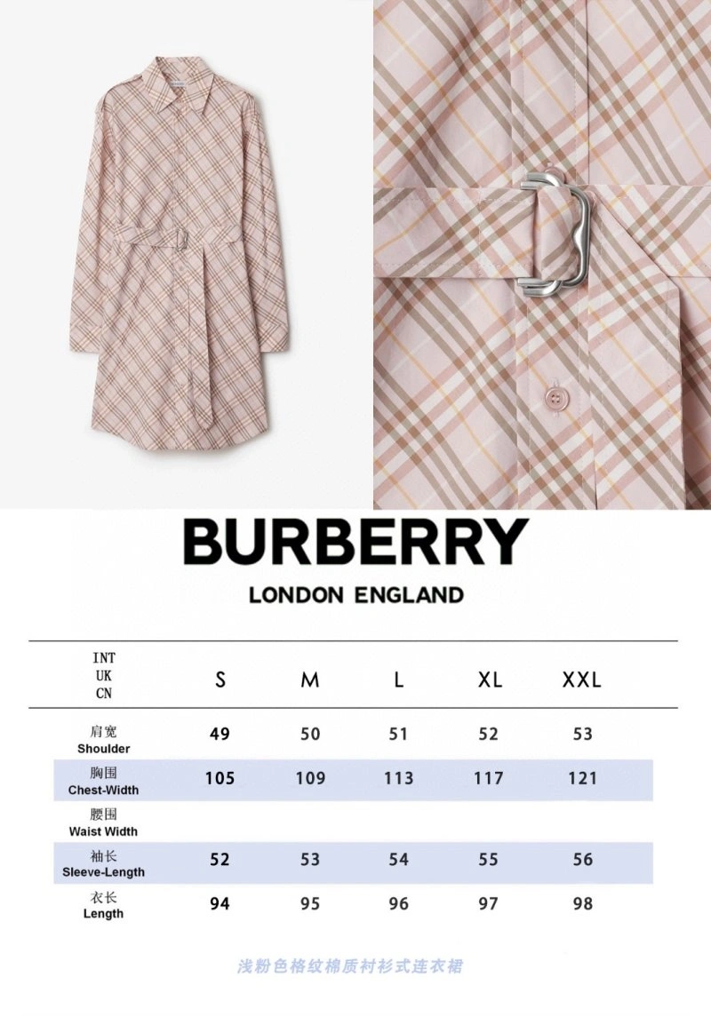 Accurate model Burberry Dress