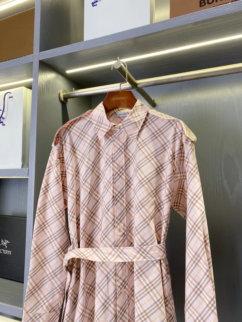 Accurate model Burberry Dress
