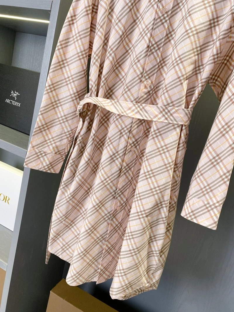 Accurate model Burberry Dress