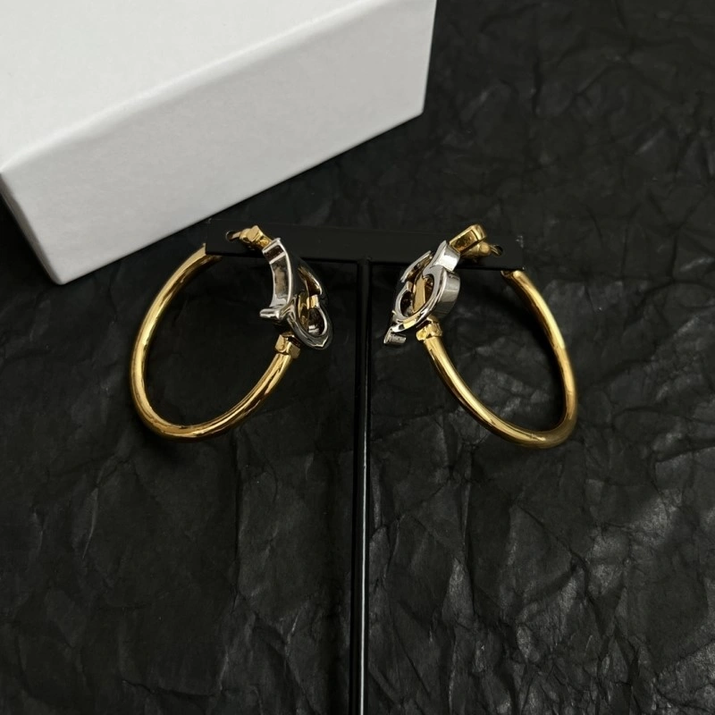 Factory-made Burberry Earrings