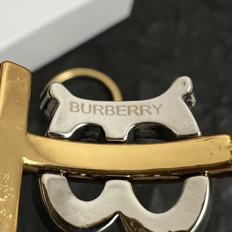 Factory-made Burberry Earrings