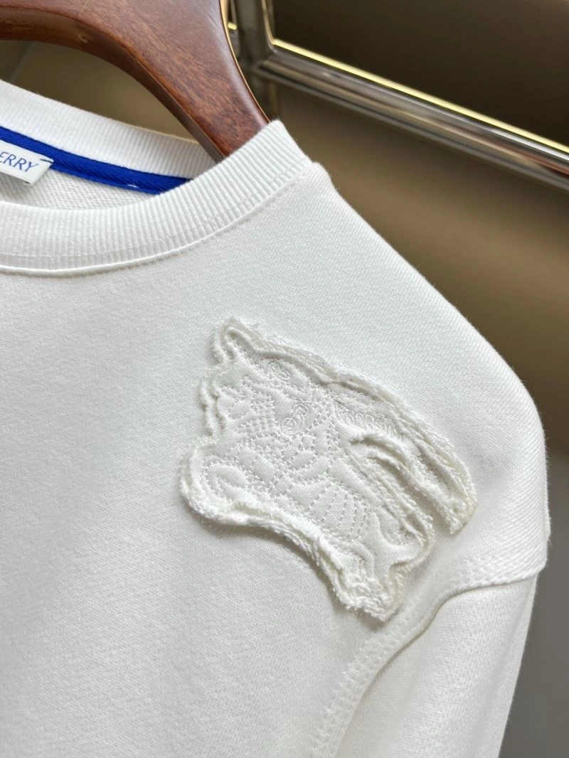 Exact replica Burberry Hoodies