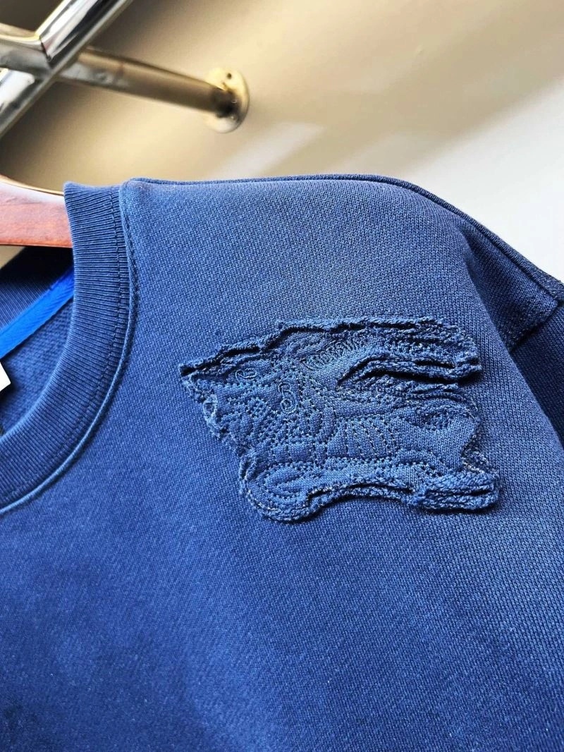 High accuracy Burberry Hoodies
