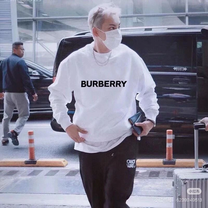 Discounted Burberry Hoodies