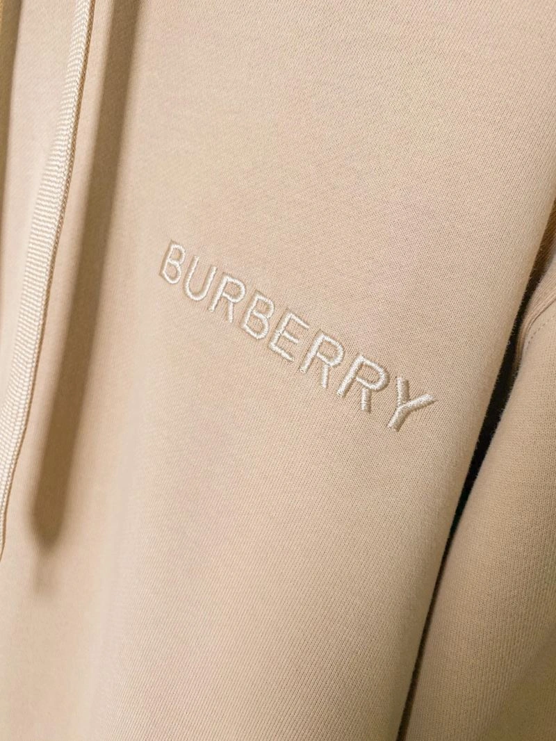 Indistinguishable Burberry Hoodies