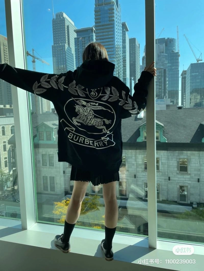 Indistinguishable Burberry Hoodies