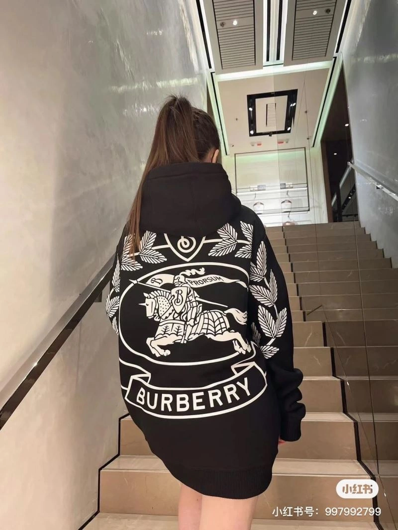 Indistinguishable Burberry Hoodies