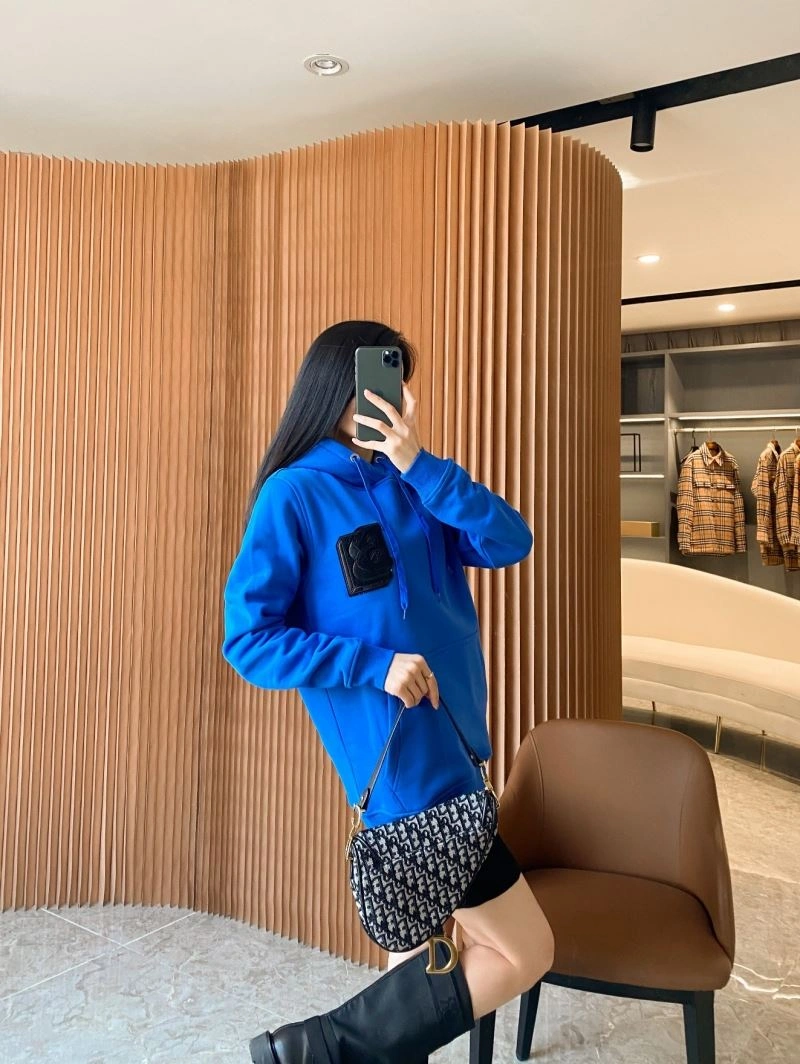 Reasonably priced Burberry Hoodies