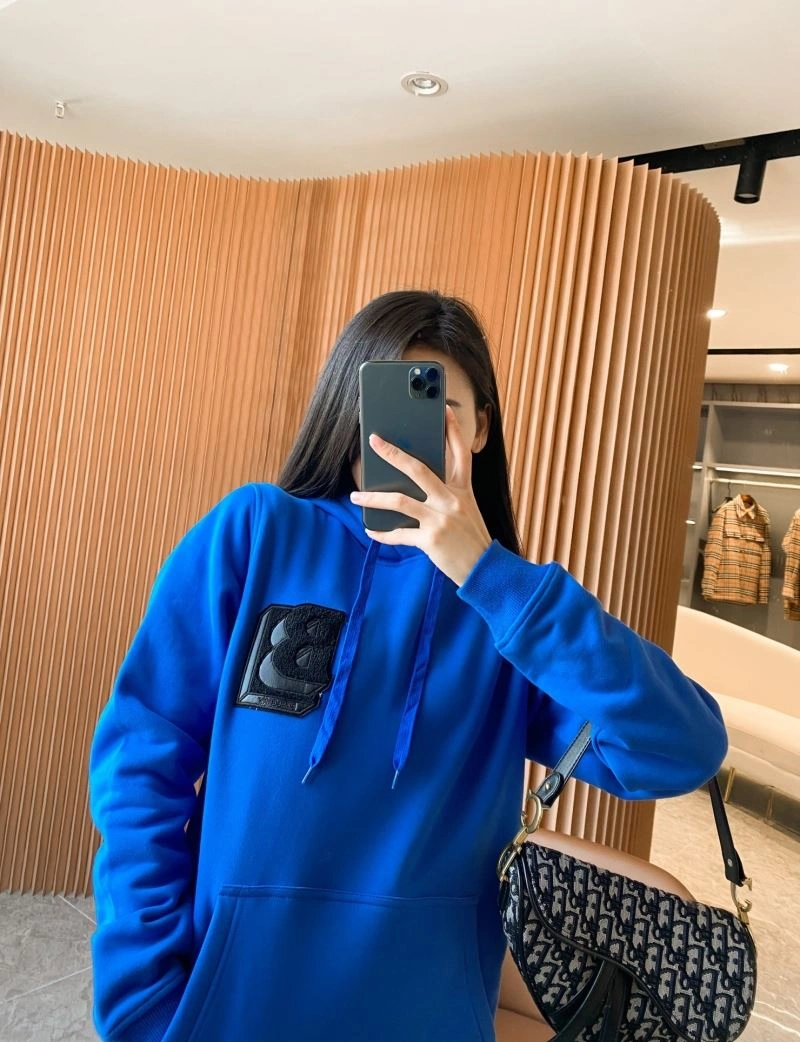 Reasonably priced Burberry Hoodies