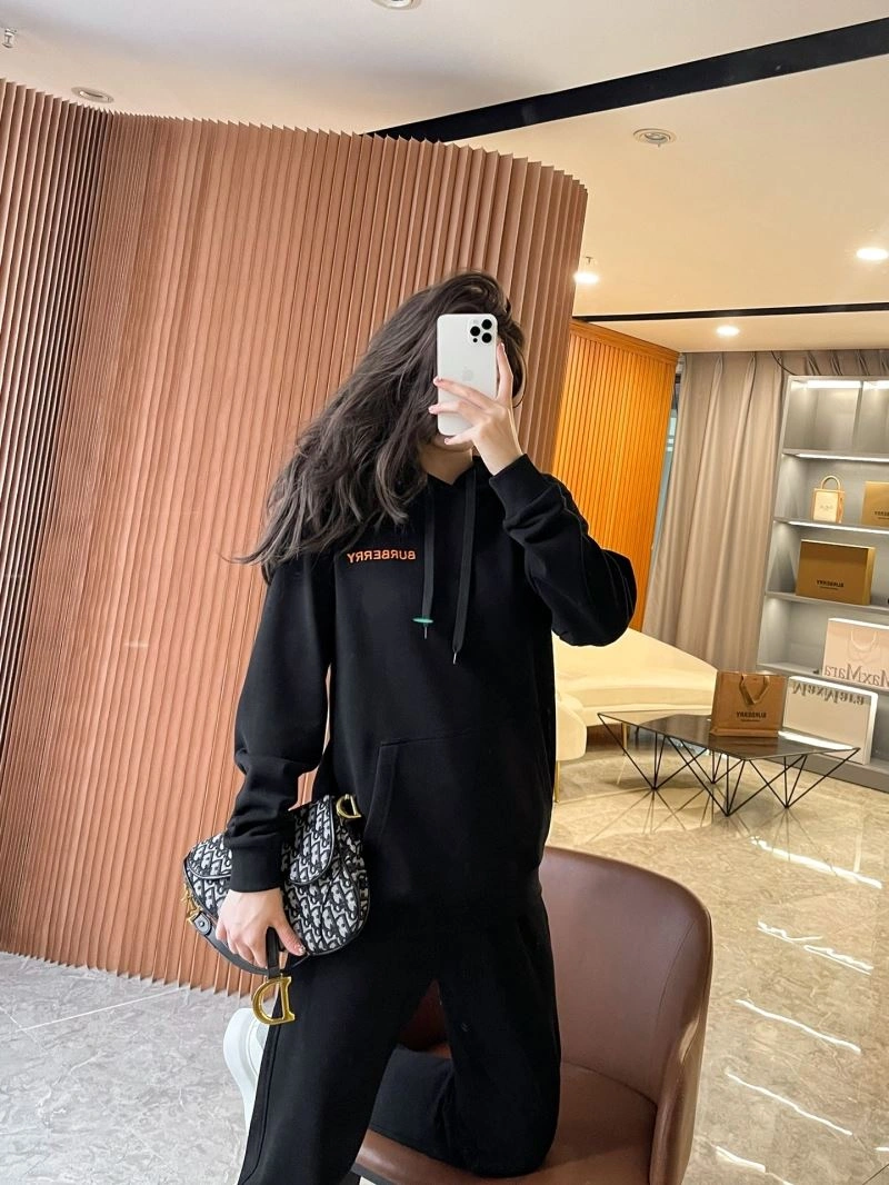 Reasonably priced Burberry Hoodies