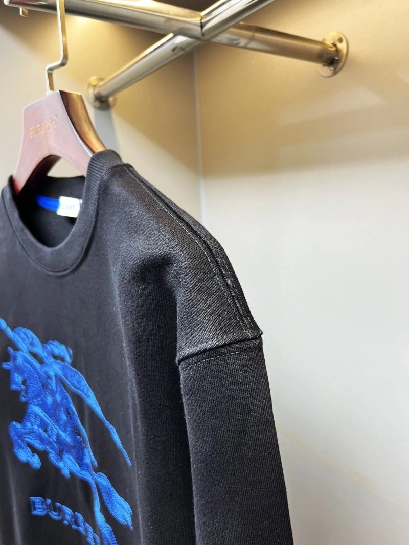 Top mirror Burberry Hoodies