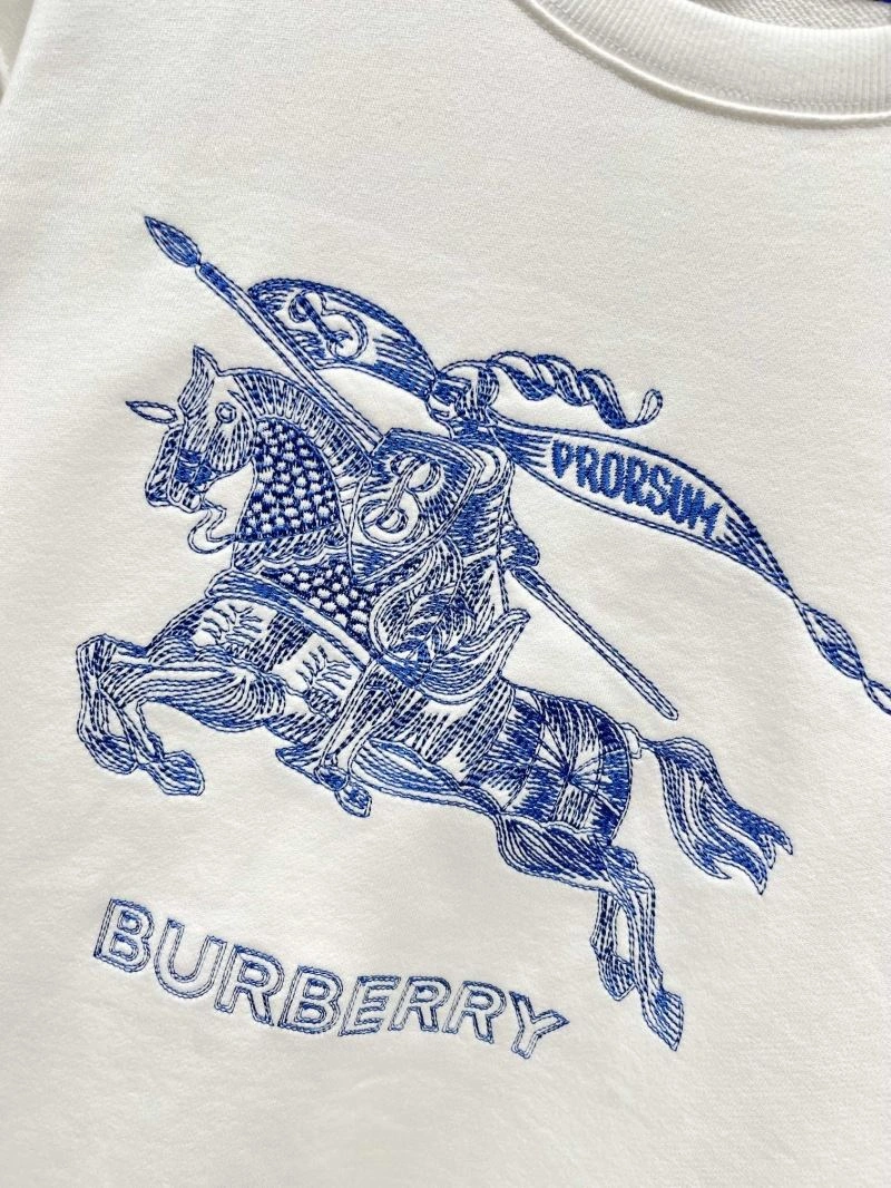 Exact replica Burberry Hoodies
