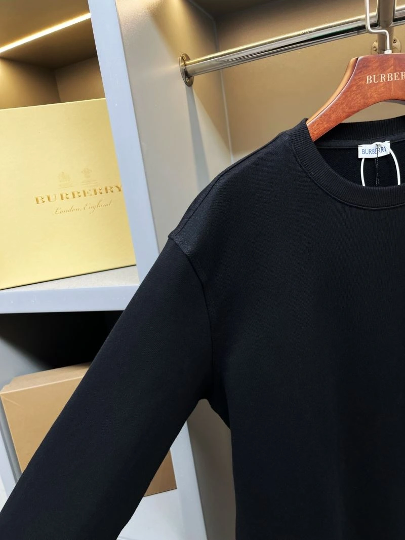 1:1 copy Burberry Hoodies