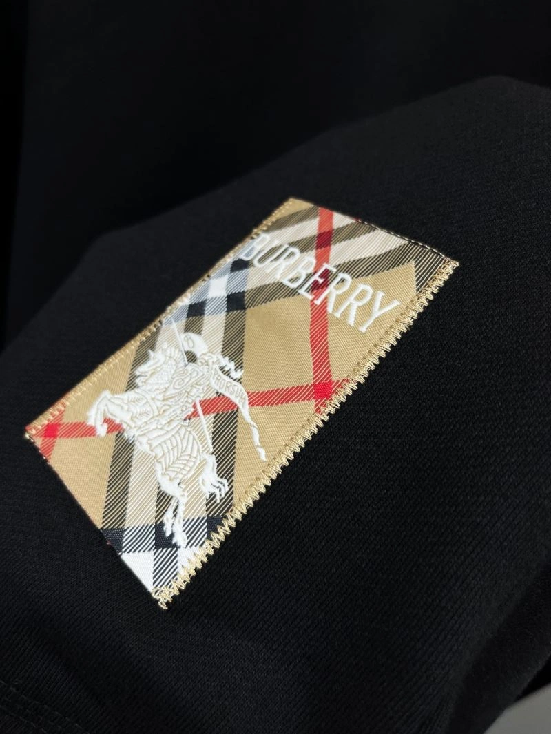 1:1 copy Burberry Hoodies